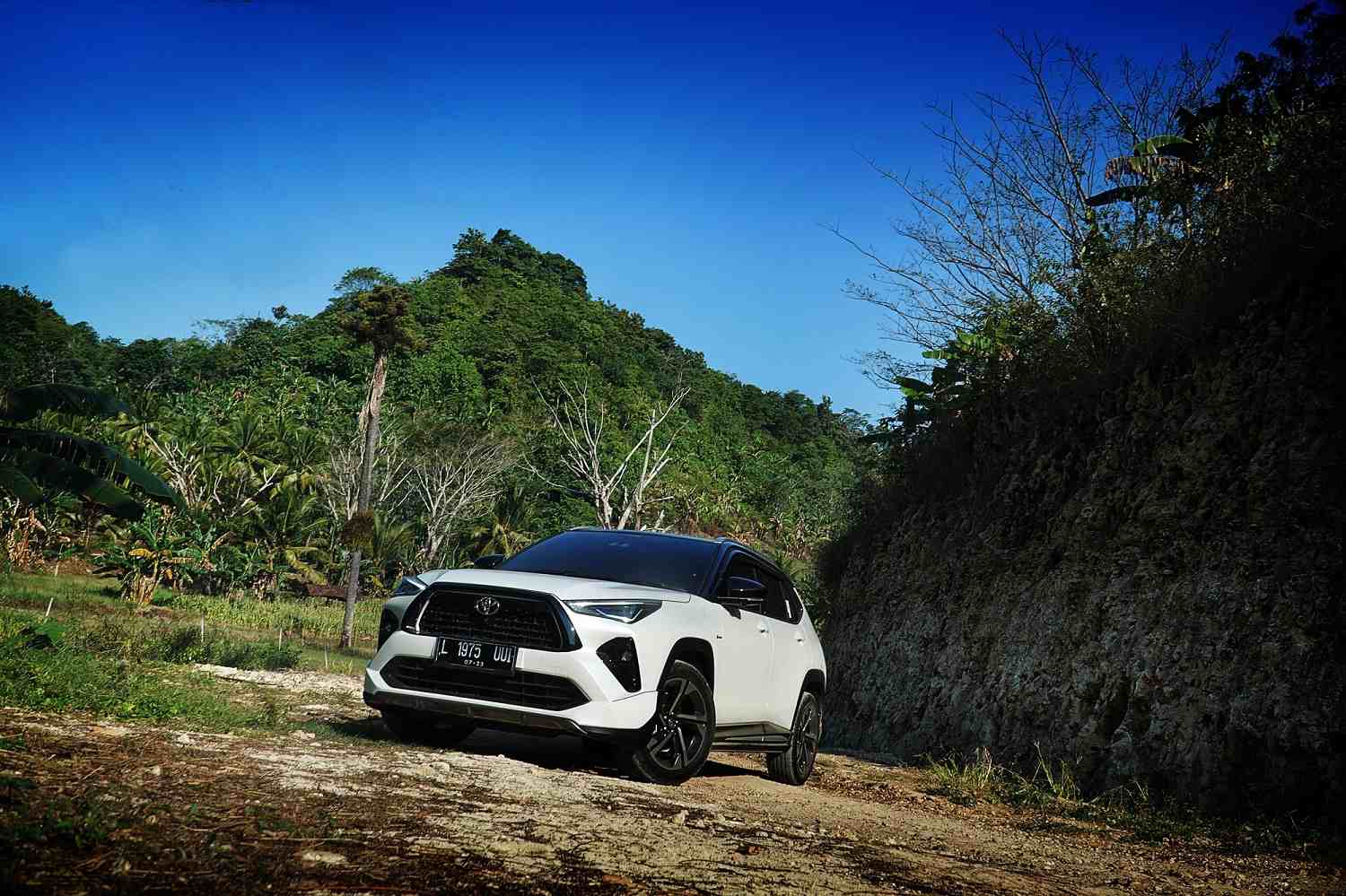 NASMOCO – Toyotamelalui berbagai produk mobilnya menyabet 5 penghargaan ...